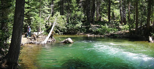 Stream Fishing Techniques: Ultralight Fishing Blog